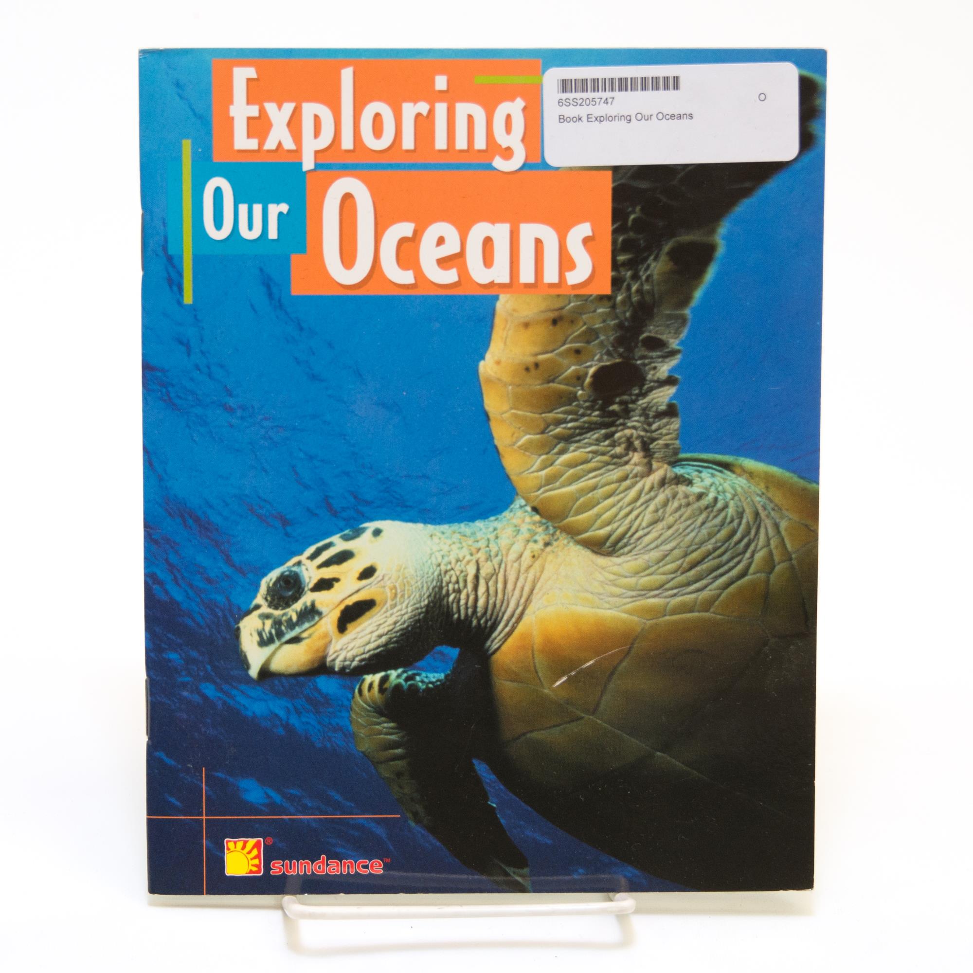 Books : Toys Housewares Home Decor Novelties Wedding Apparel Party Pet ...